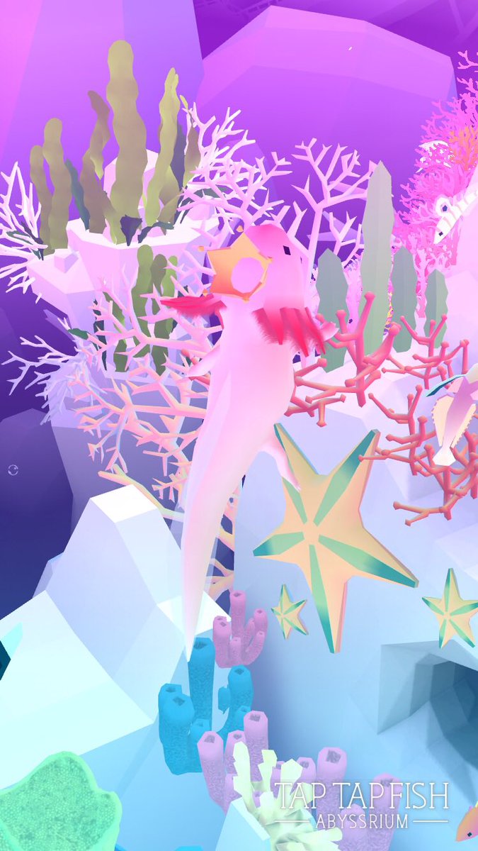 コダマ (@Codama_S) | Twitter