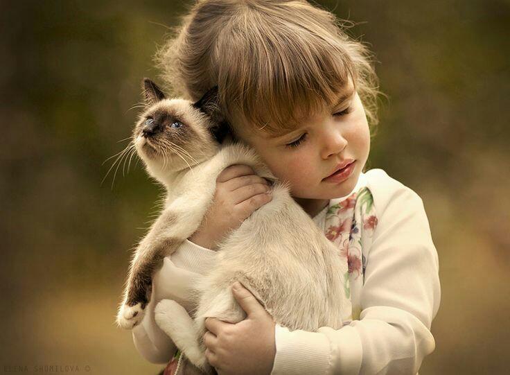 Kind And Gentle Animals