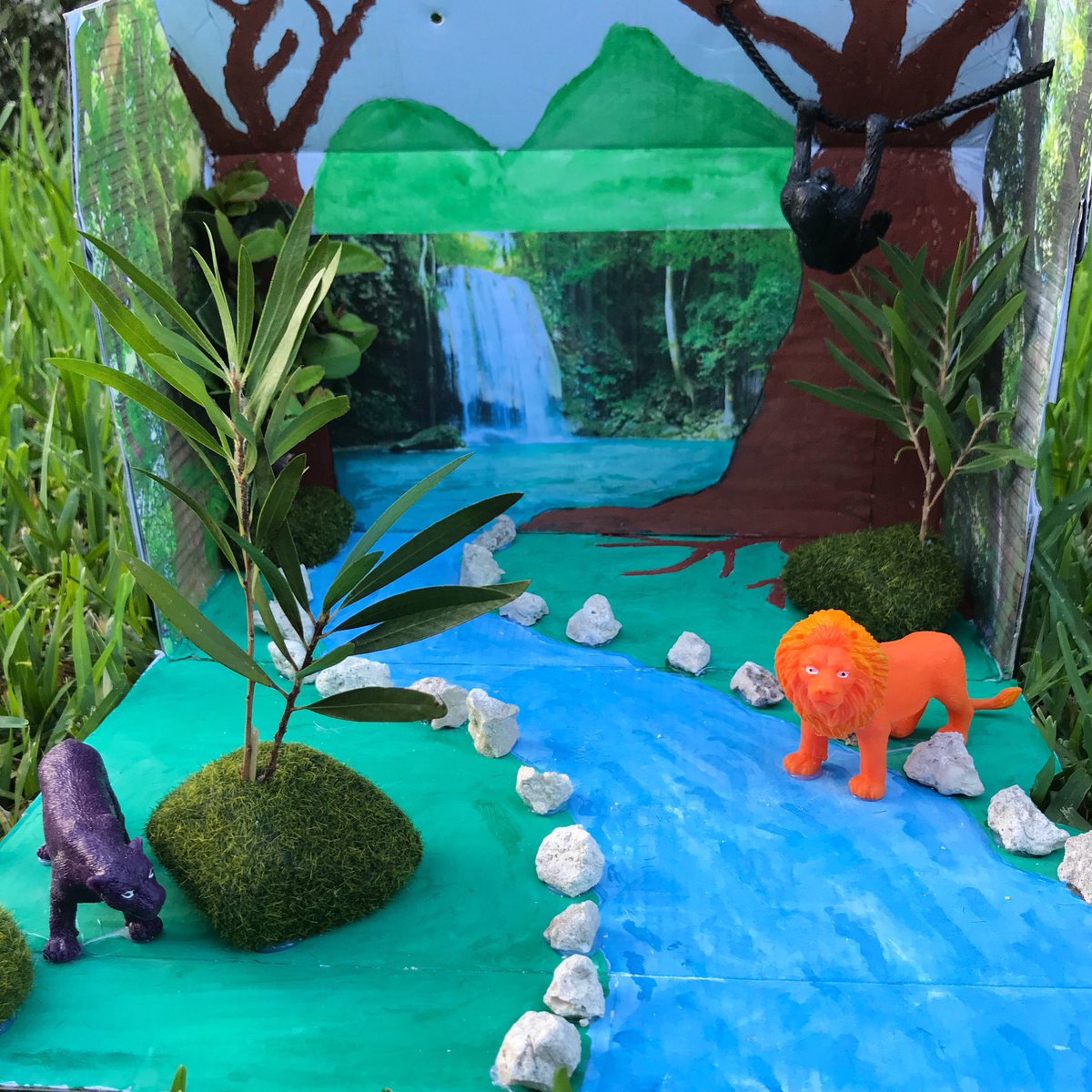 Forest Habitat Diorama For