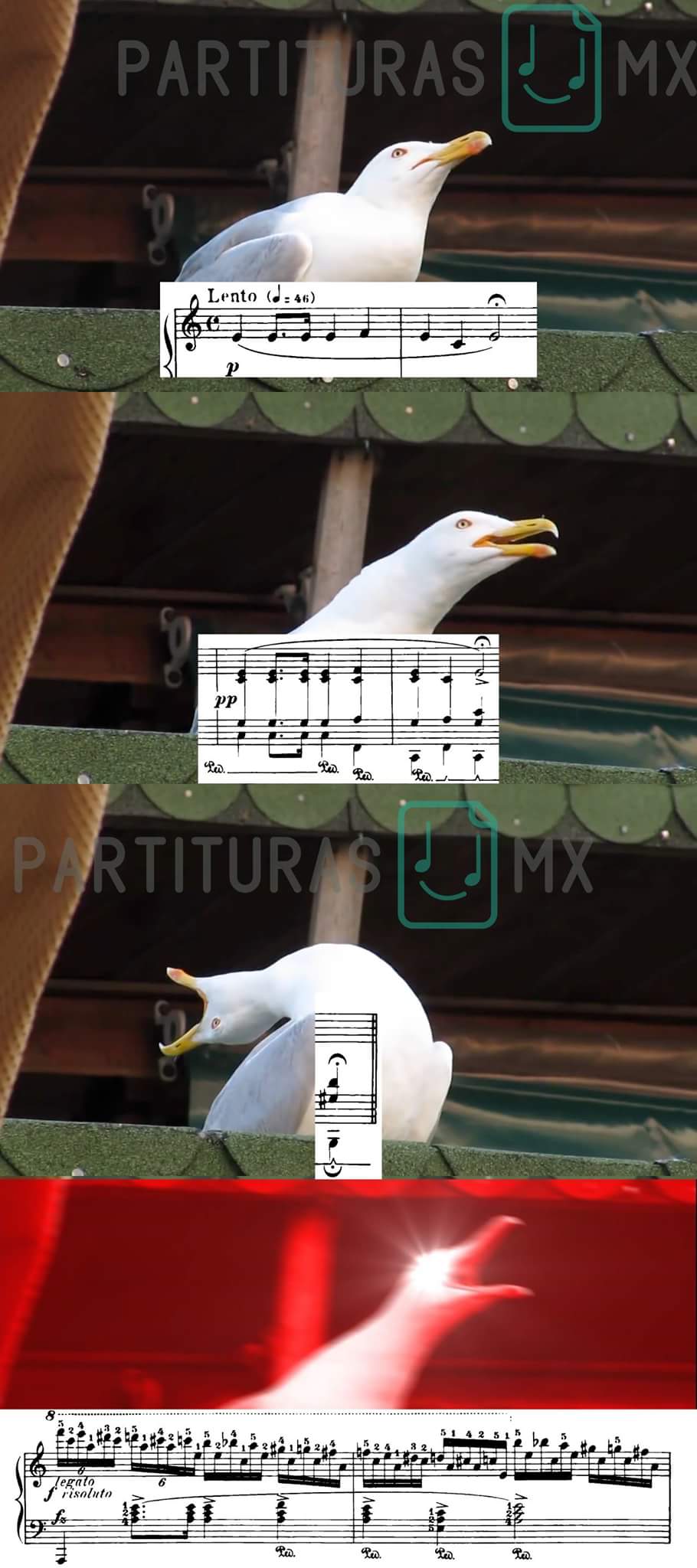 Chopin Meme