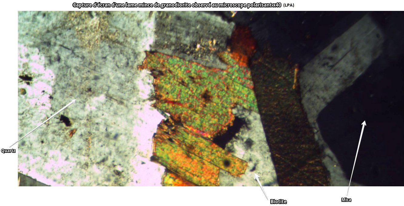 Biotite Microscope