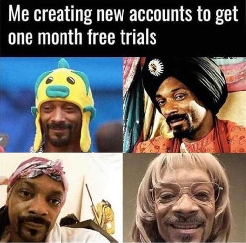 Renewal Memes