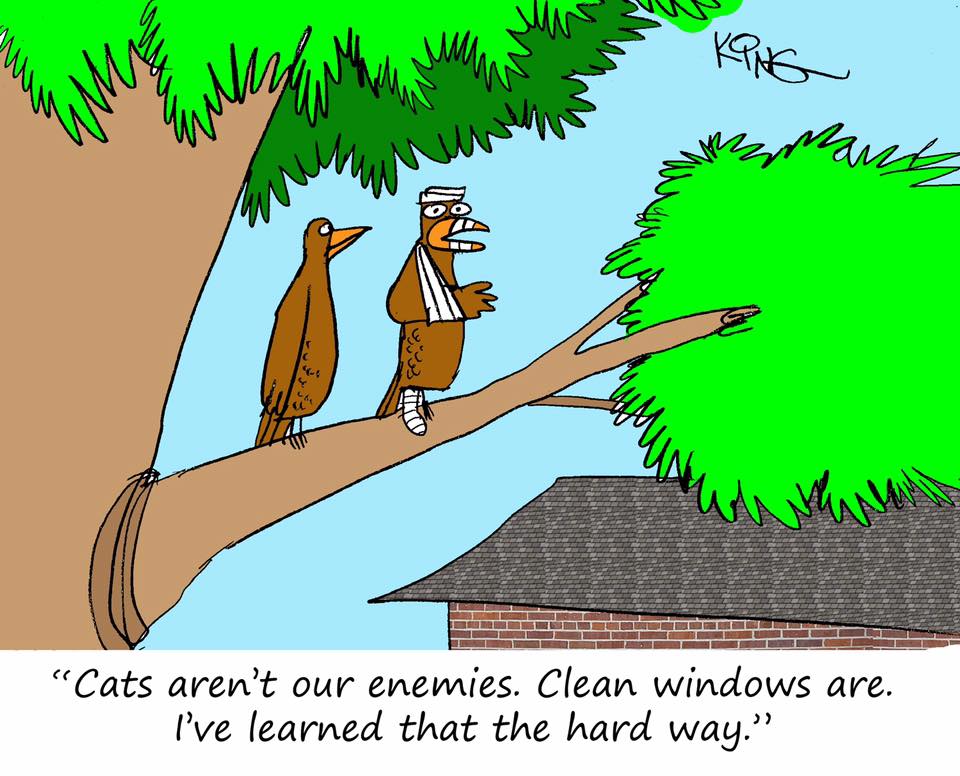 Window Cleaning Meme Buy Window Cleaning Wanker Mug Funny Joke Window