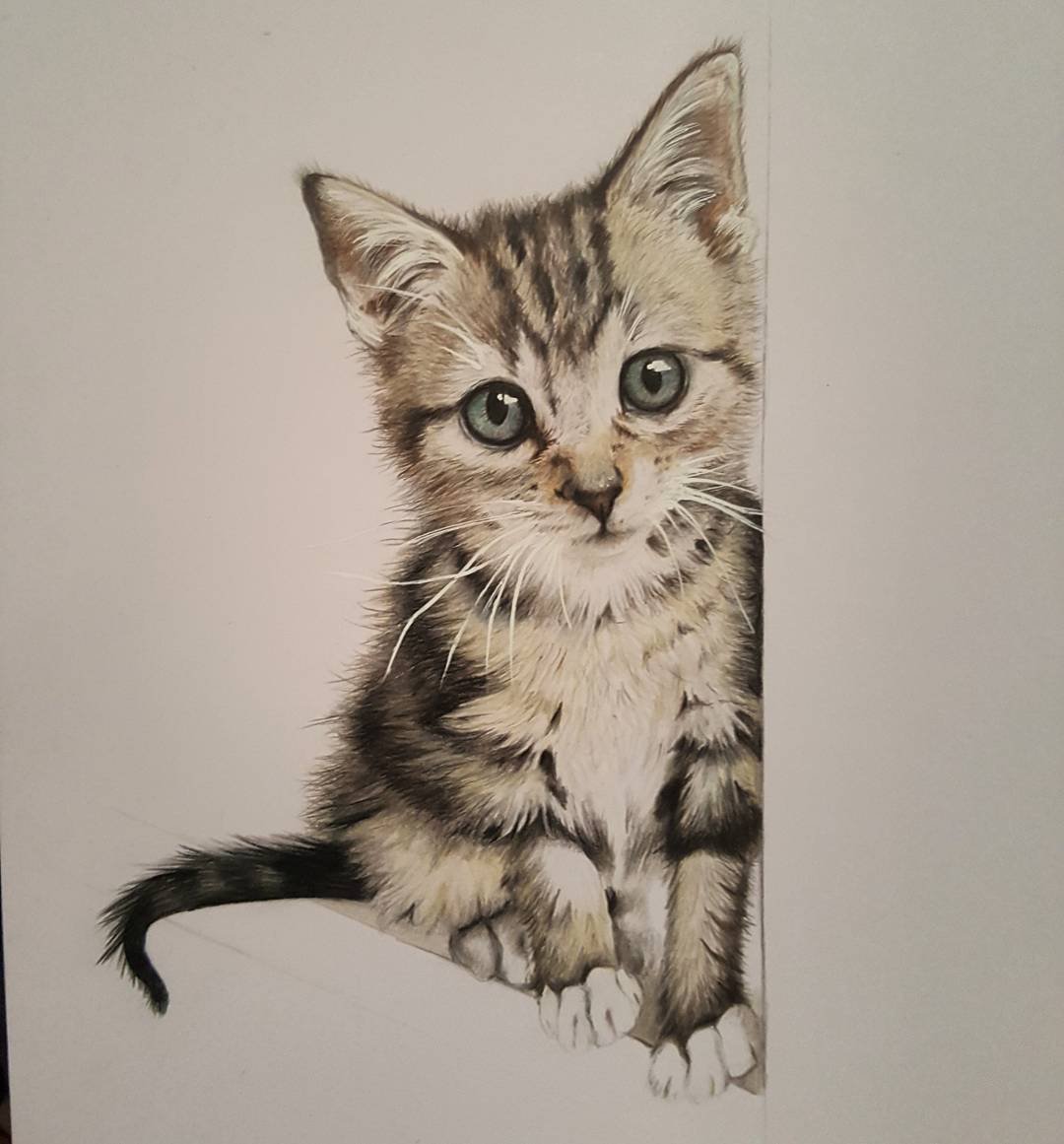 Realistic Kitten Drawings