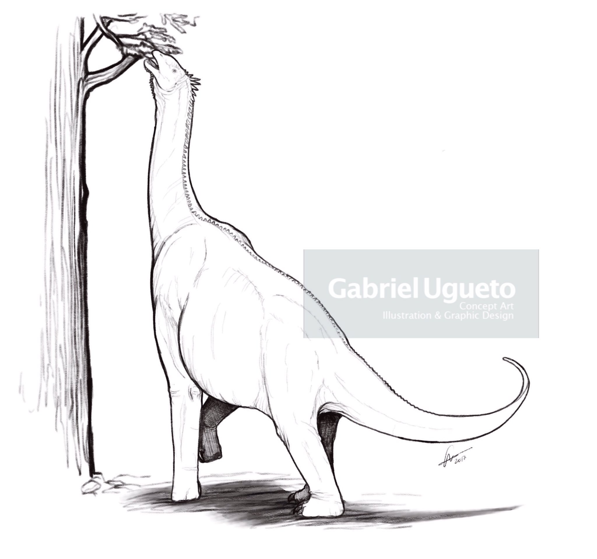 Desenho De Atlasaurus Por Paleozoologo Untitled Document