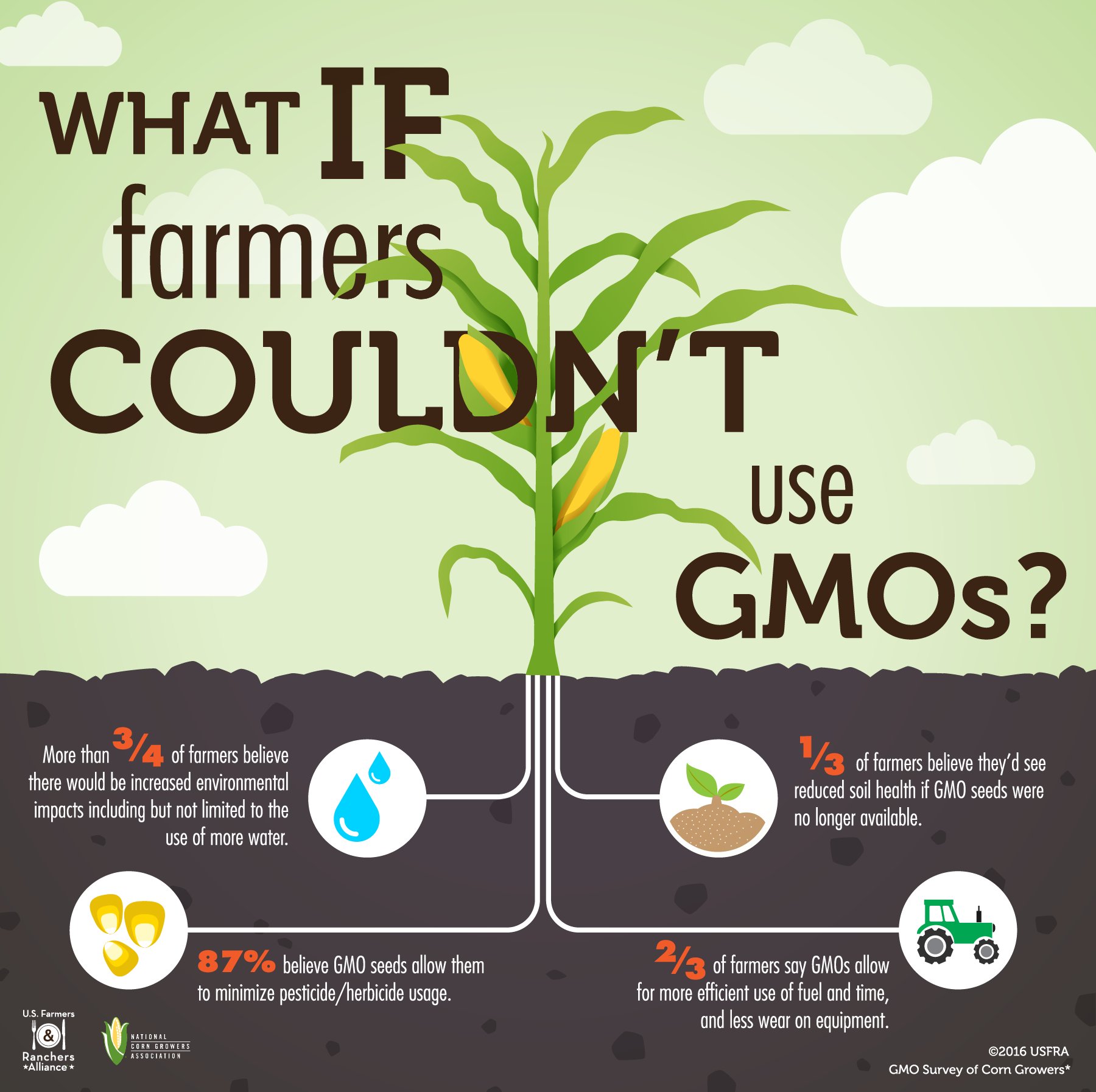 Infographic Gmo