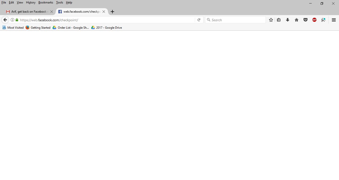 Example Facebook Page Blank