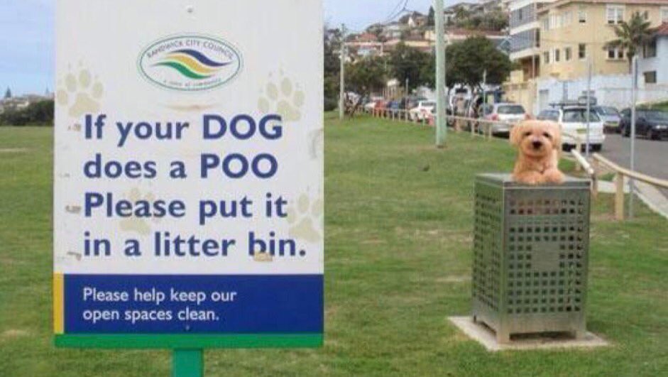 vivienne clore on Twitter: "Morning…