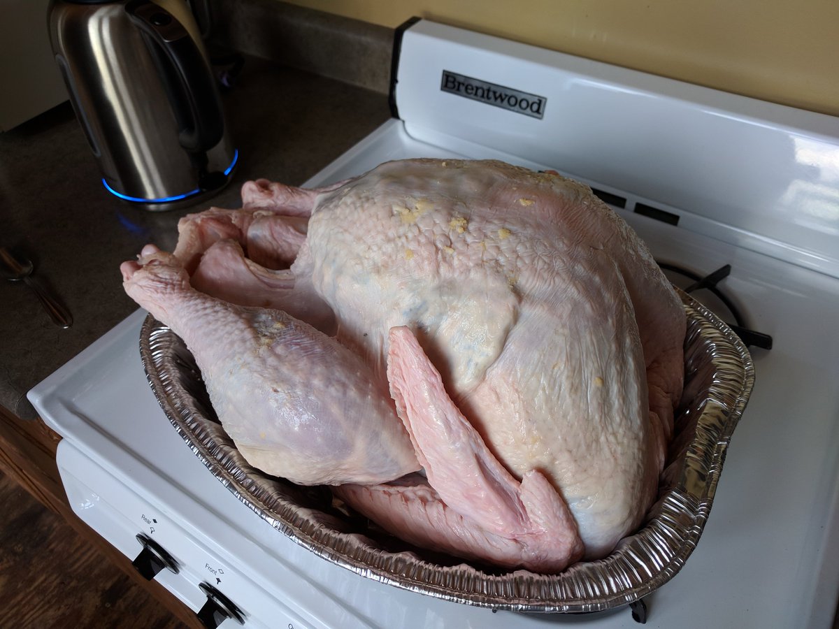 Dillon Zolnierczyk (@DillonZed) | Twitter