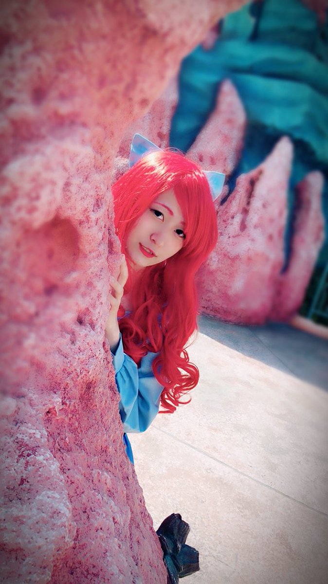 こっこ(@kinu_coco) - Twilog (ツイログ)