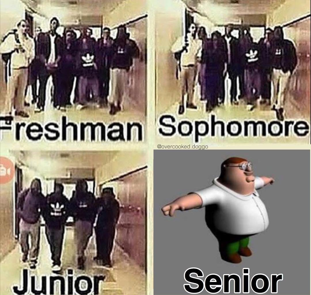 Sophomore Meme