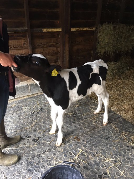 The Hop Farm - A fun family day out in the heart of Kent