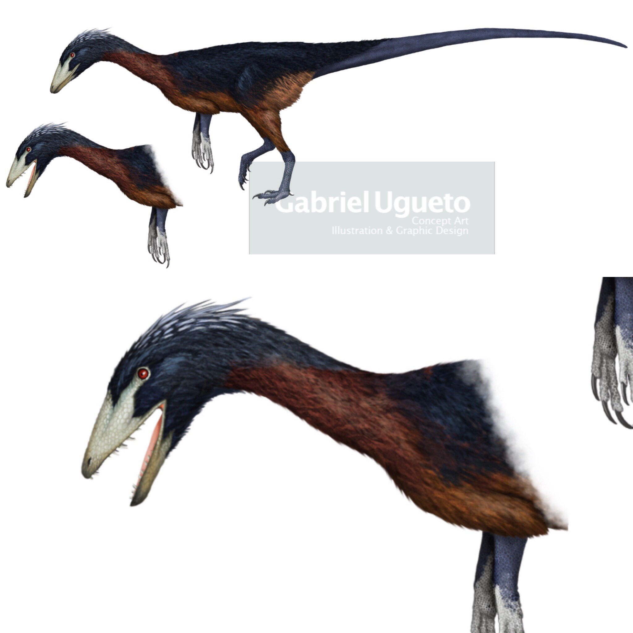 Tawa Dinosaur