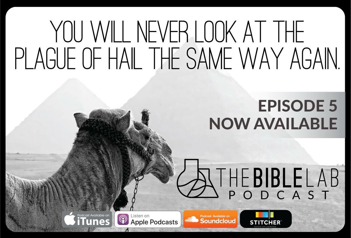 Roy Ice (@royice) | Twitter