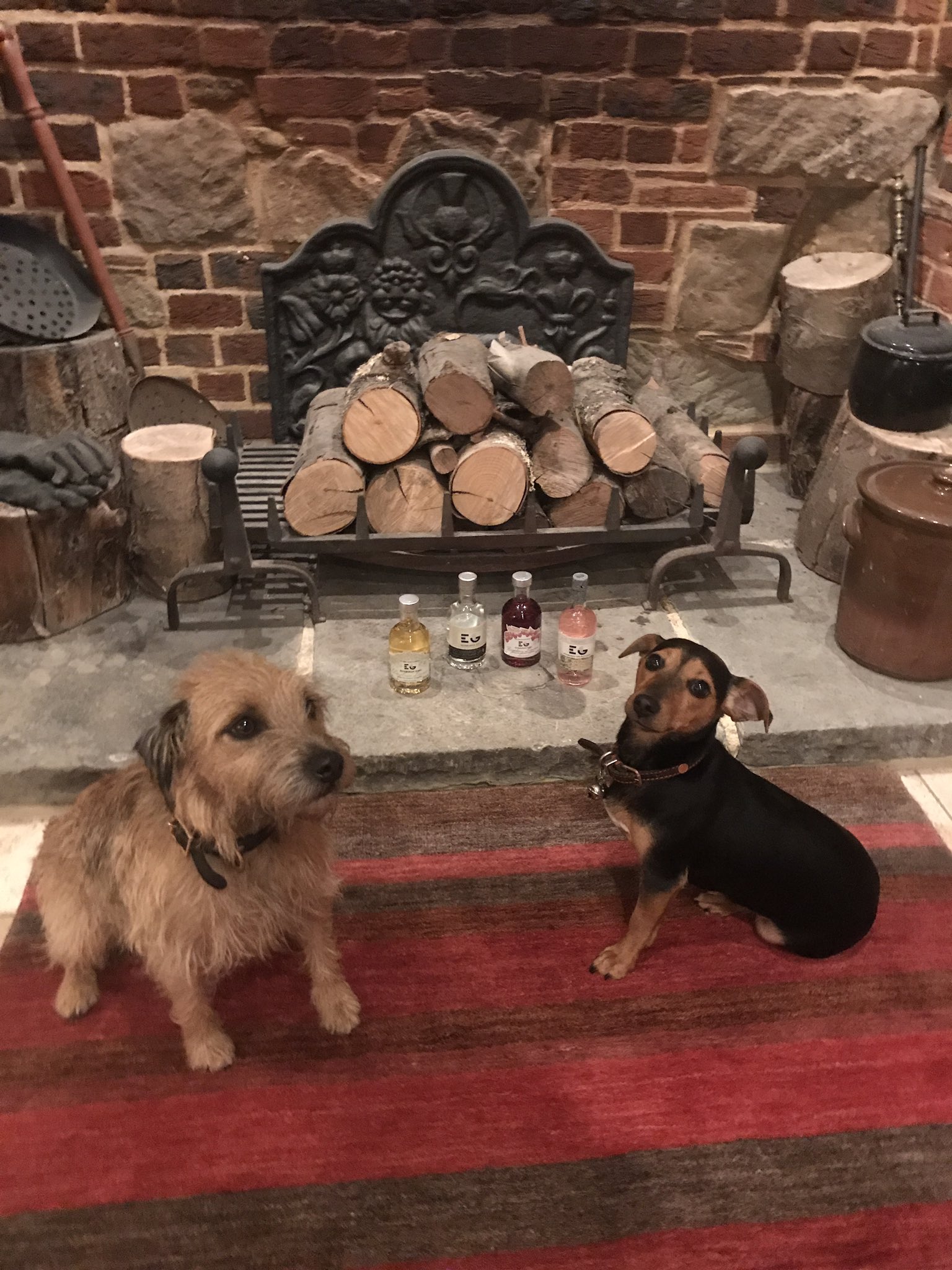 Studio EG on Twitter: "Glad to be home with my angels and my Studio EG gin selection # ...