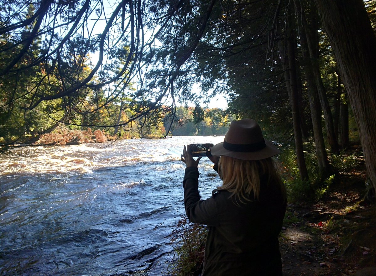 Will Stone (@tribixbite) | Twitter