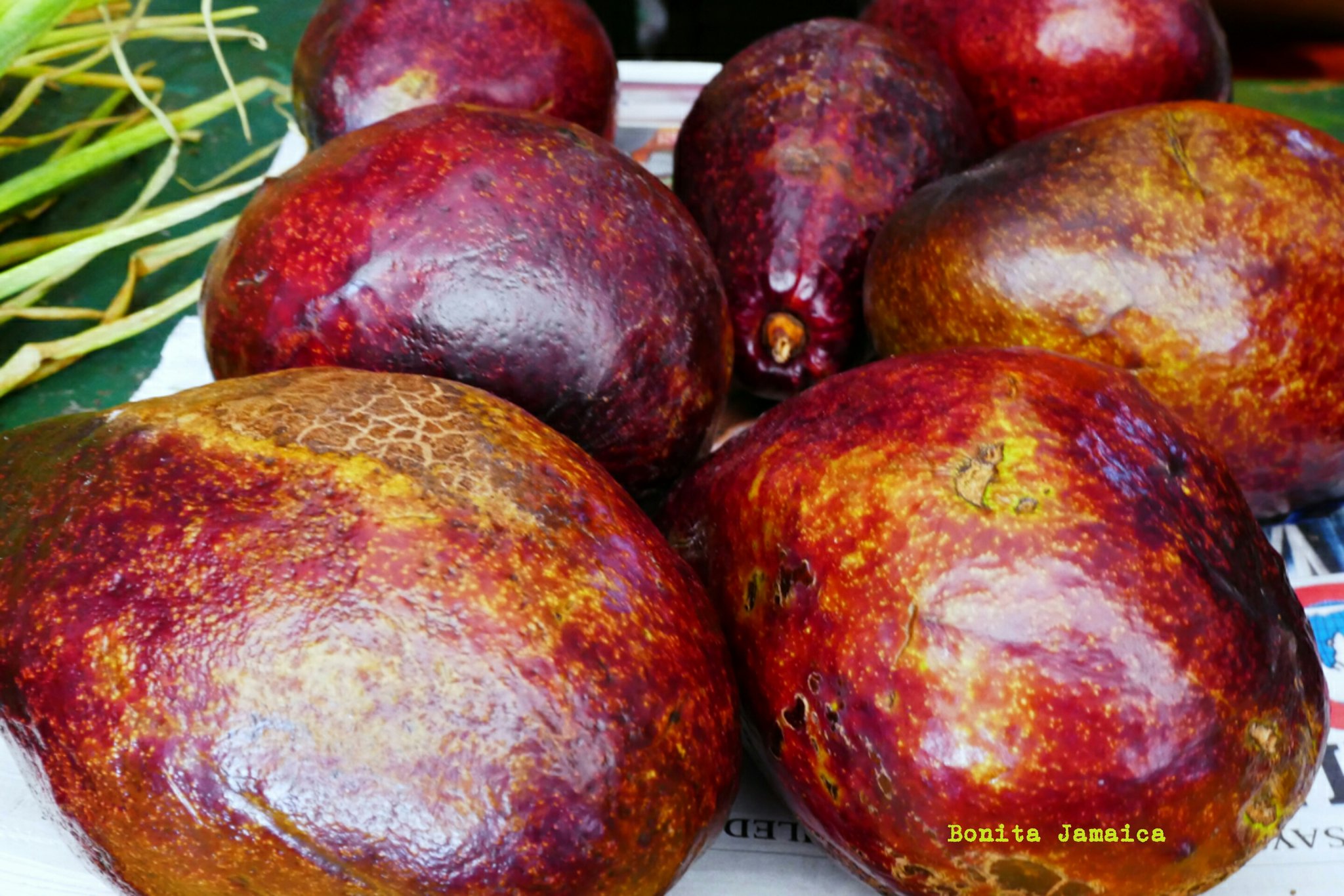 Jamaican Pear