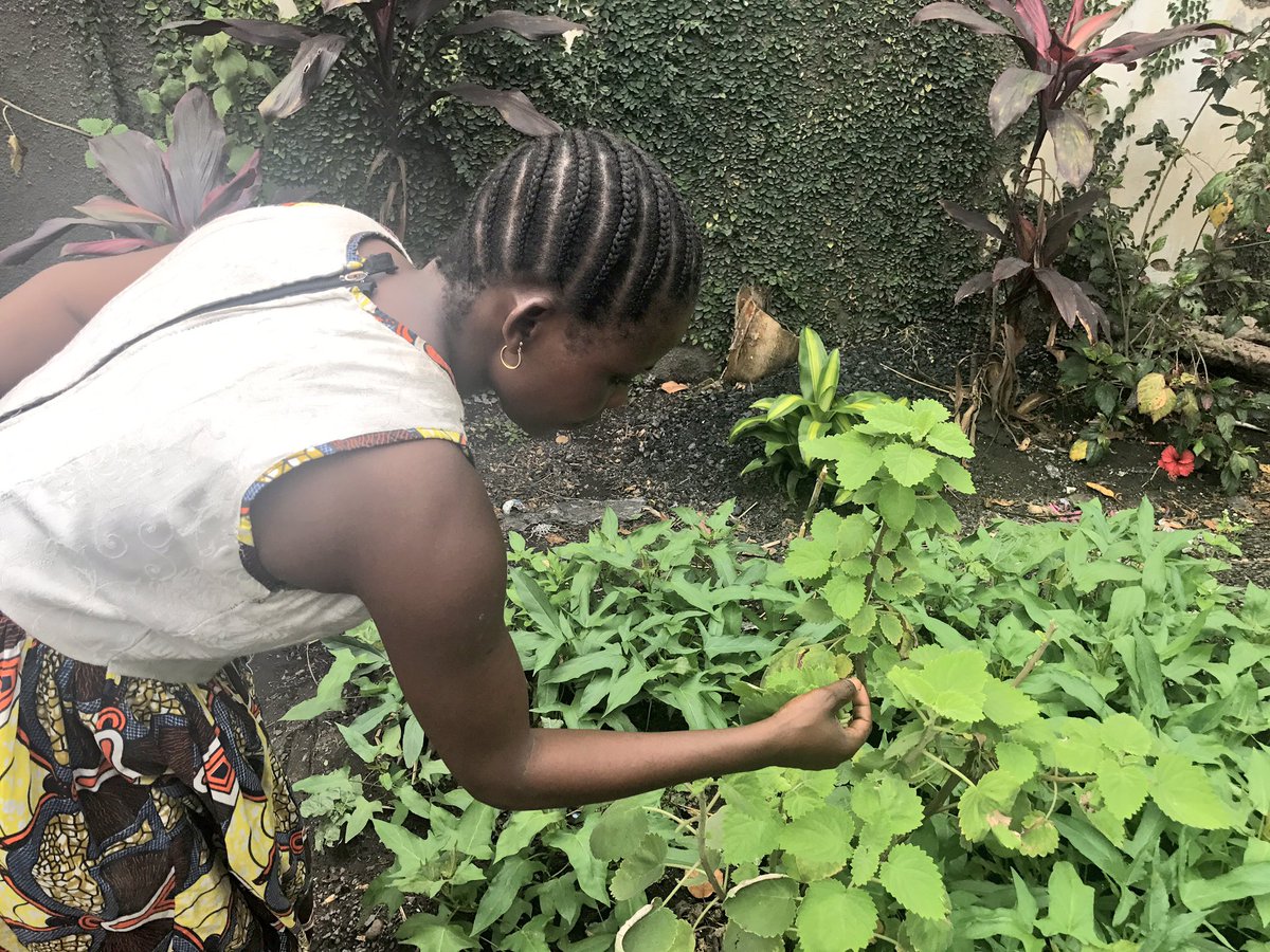 Entrepreneuriat | Page 35 | SkyscraperCity Forum