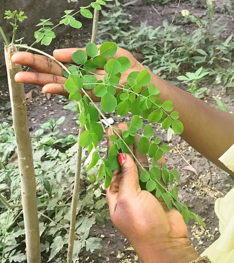 Entrepreneuriat | Page 35 | SkyscraperCity Forum