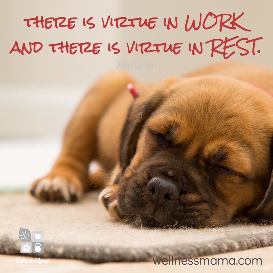 Restful Weekend Fun Our Auckland & Taupō Teams Are Making The Most Of