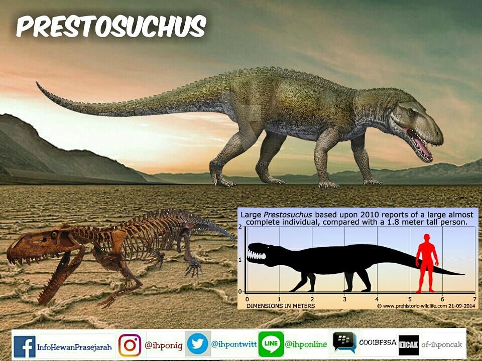 Saurosuchus Vs Postosuchus