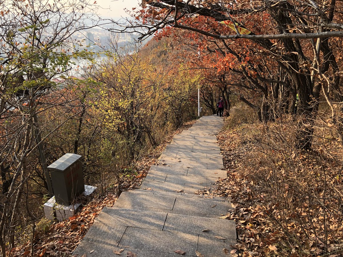 G_H_FANNIE (@G_H_FANNIE) | Twitter