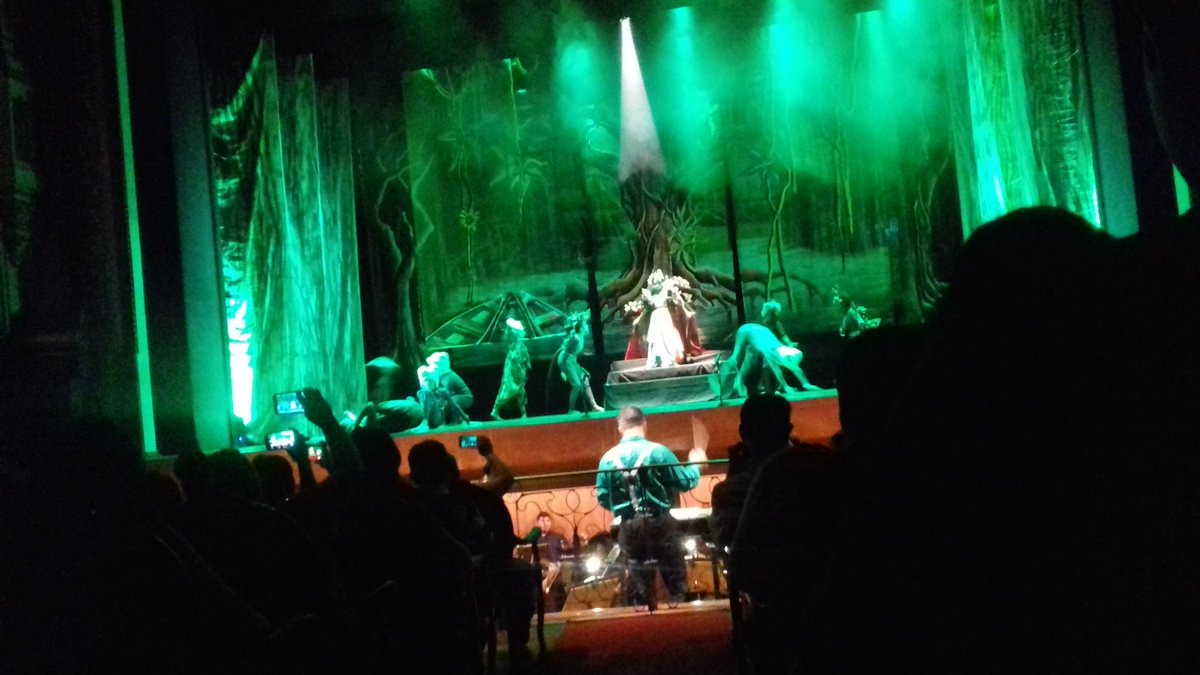 Amanda Bazílio (@mandybase) | Twitter