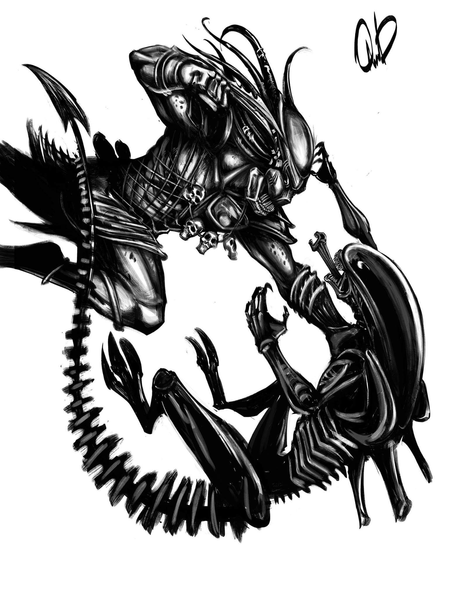 Alien Vs Predator Coloring Page