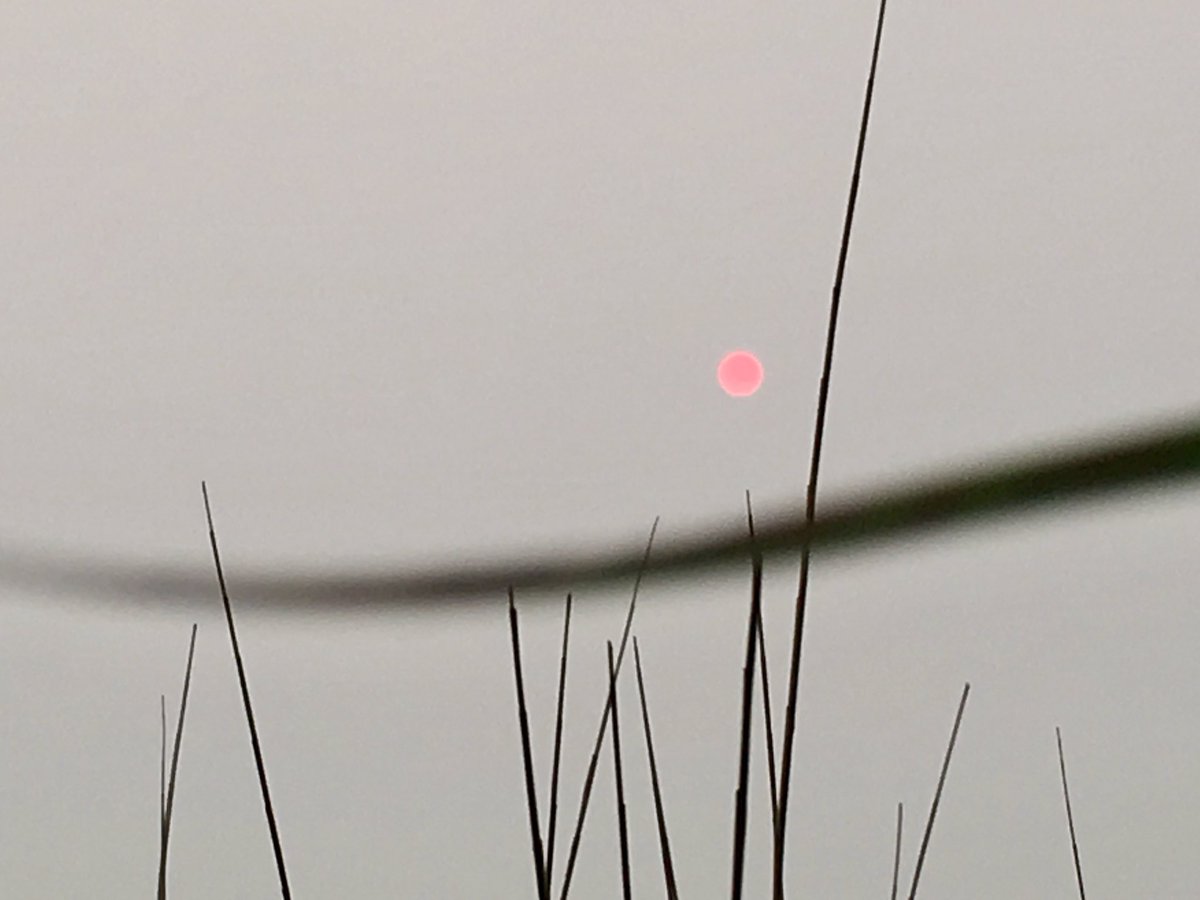 The Red Sun, Omen of Disaster
