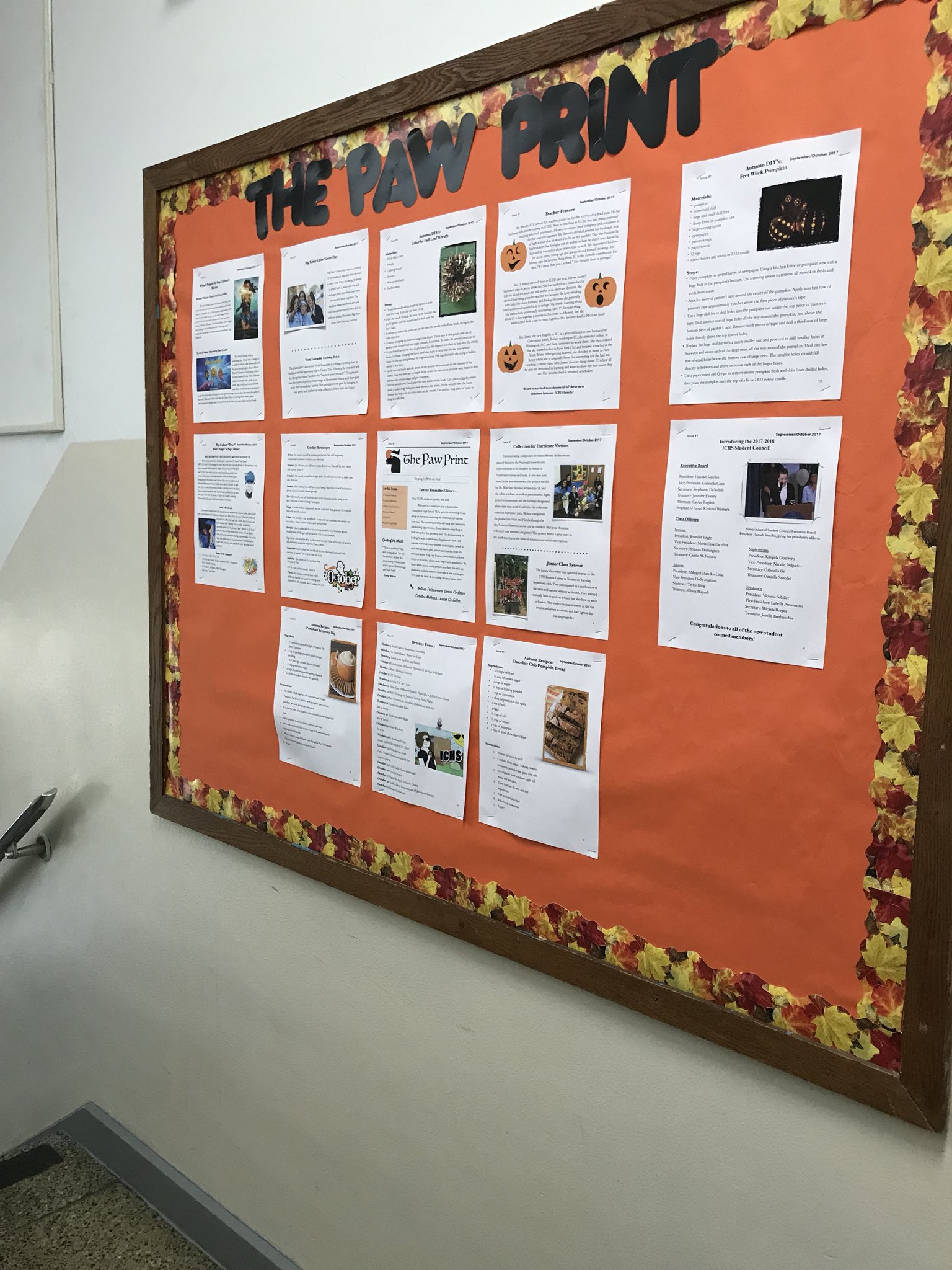 Paw Print Bulletin Board Ideas