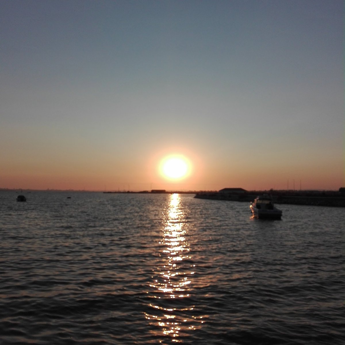 Junior Grossi (@juniorgrossi_) | Twitter