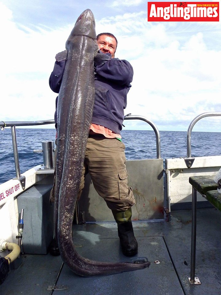 Biggest Conger Eel