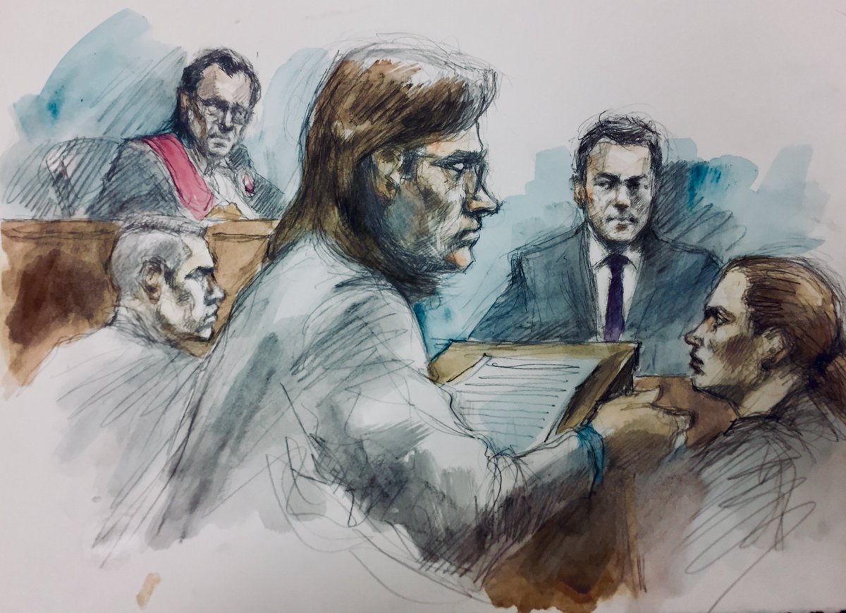 Laura Babcock Murder Trial 10.25.17 - Day 3 | Websleuths