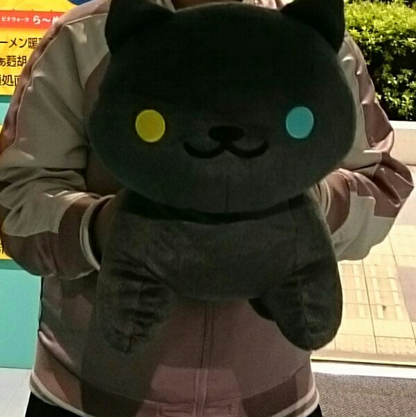 こっこ(@kinu_coco) - Twilog (ツイログ)