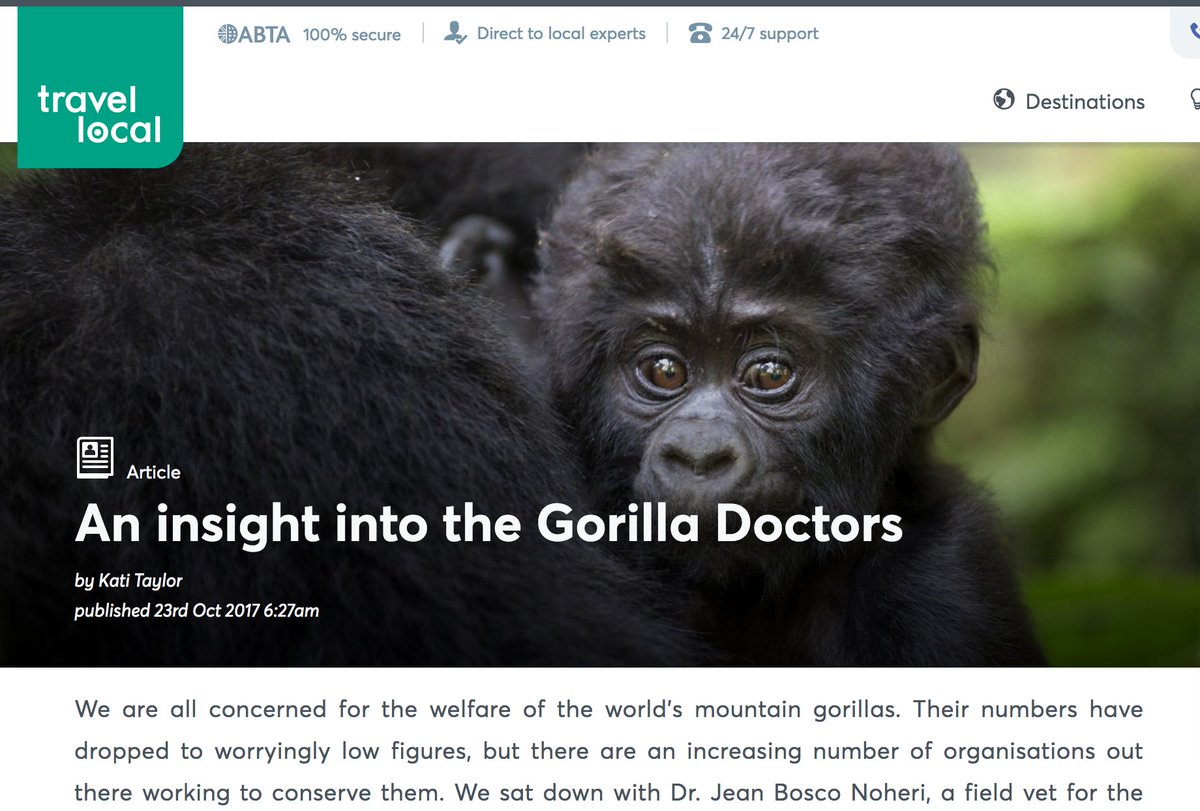 Denver Gorilla Run (@DenGorillaRun) / Posts / X