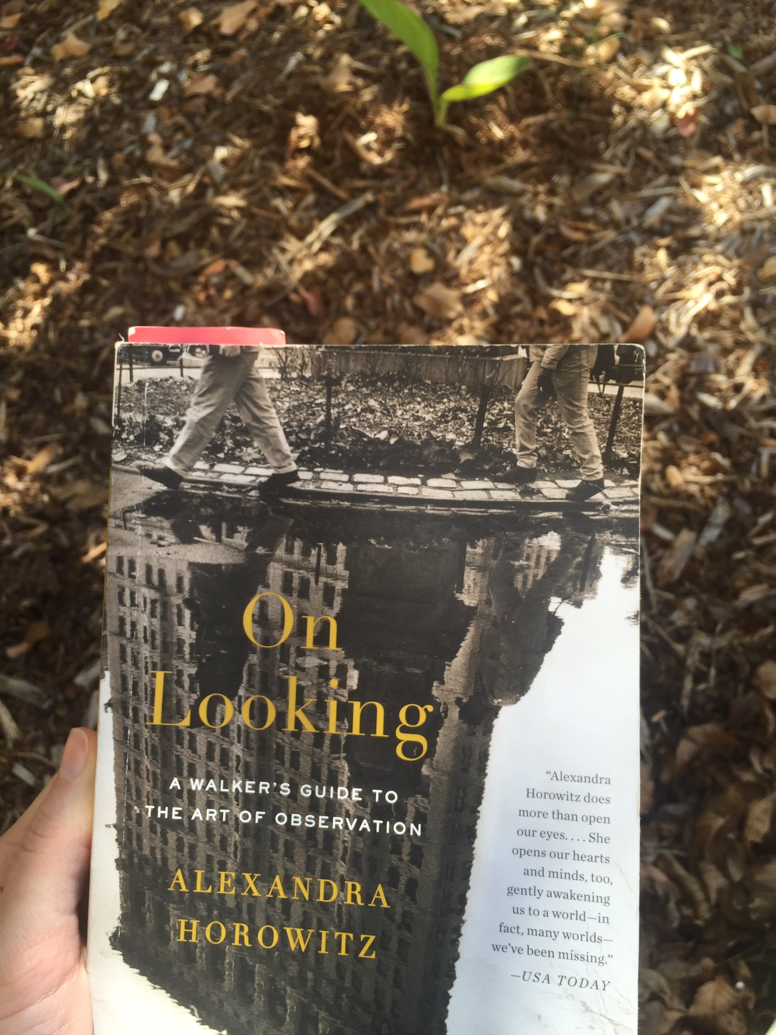 micaelawritesstuff – Micaela Writes Stuff