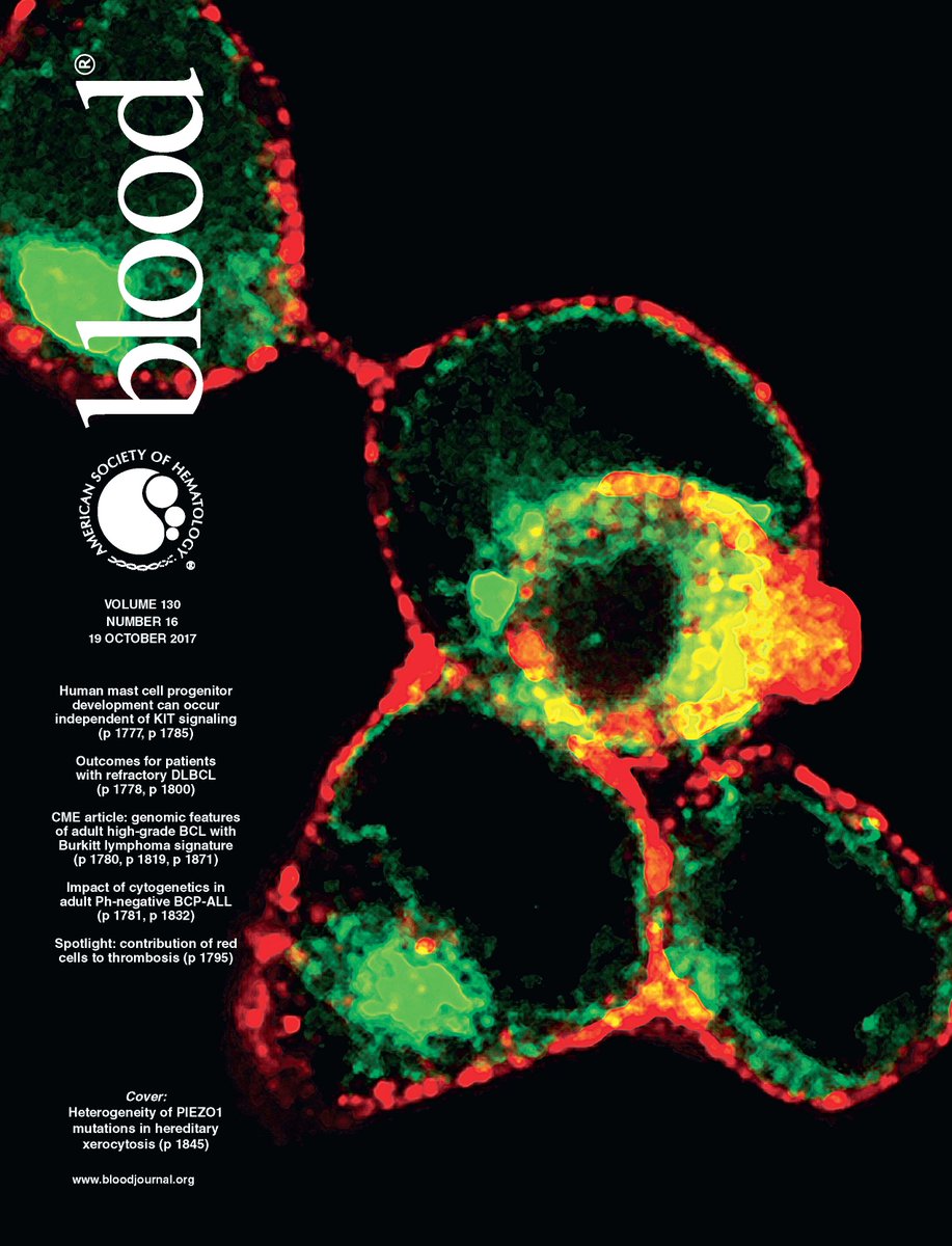 Blood | CountryOfPapers