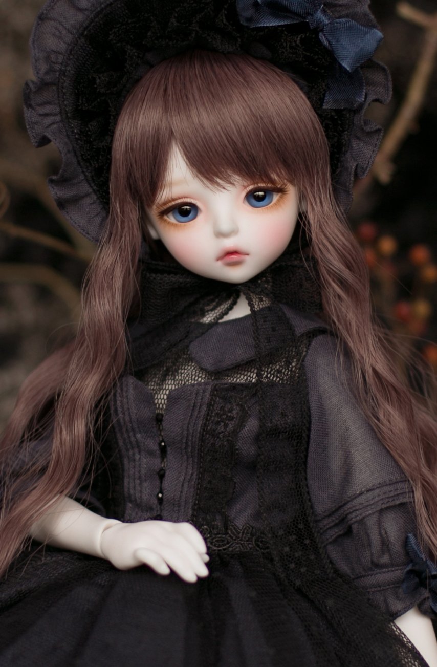 DOLK on Twitter: "【Dollism2017後夜祭】LINAchouchou、Lavinia限定Ver.がキャンセルにより2体復活です！ 大人びた中にも幼さが残る美少女をお ...