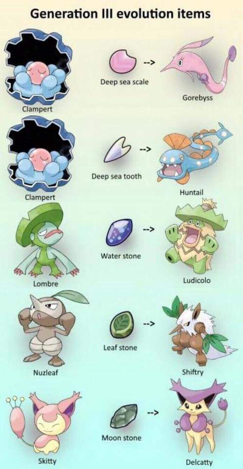 Pokemon Evolution Chart Emerald