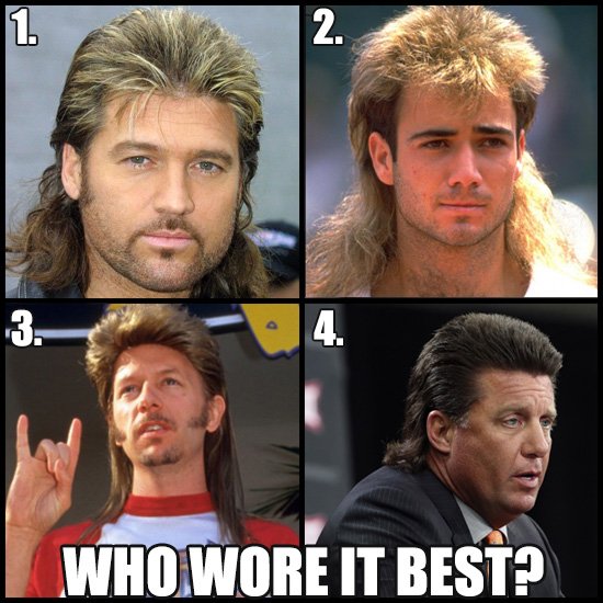 Joe Dirt Mullet Quote