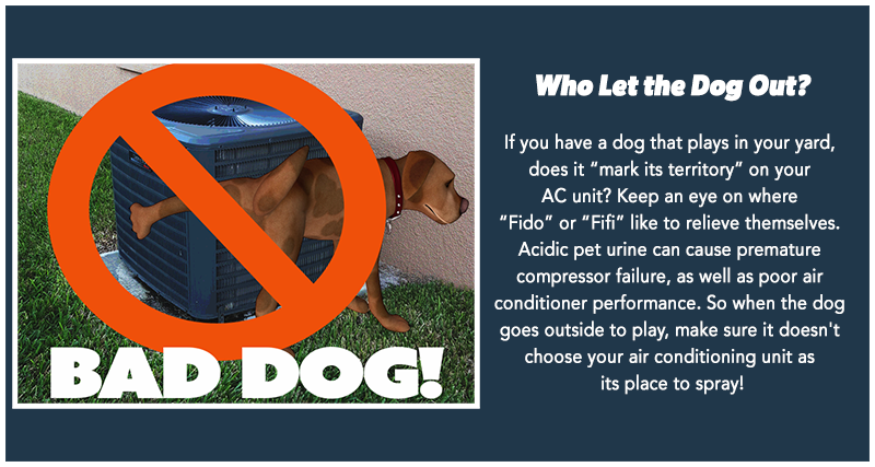 How To Stop Dog From Peeing On Ac Unit