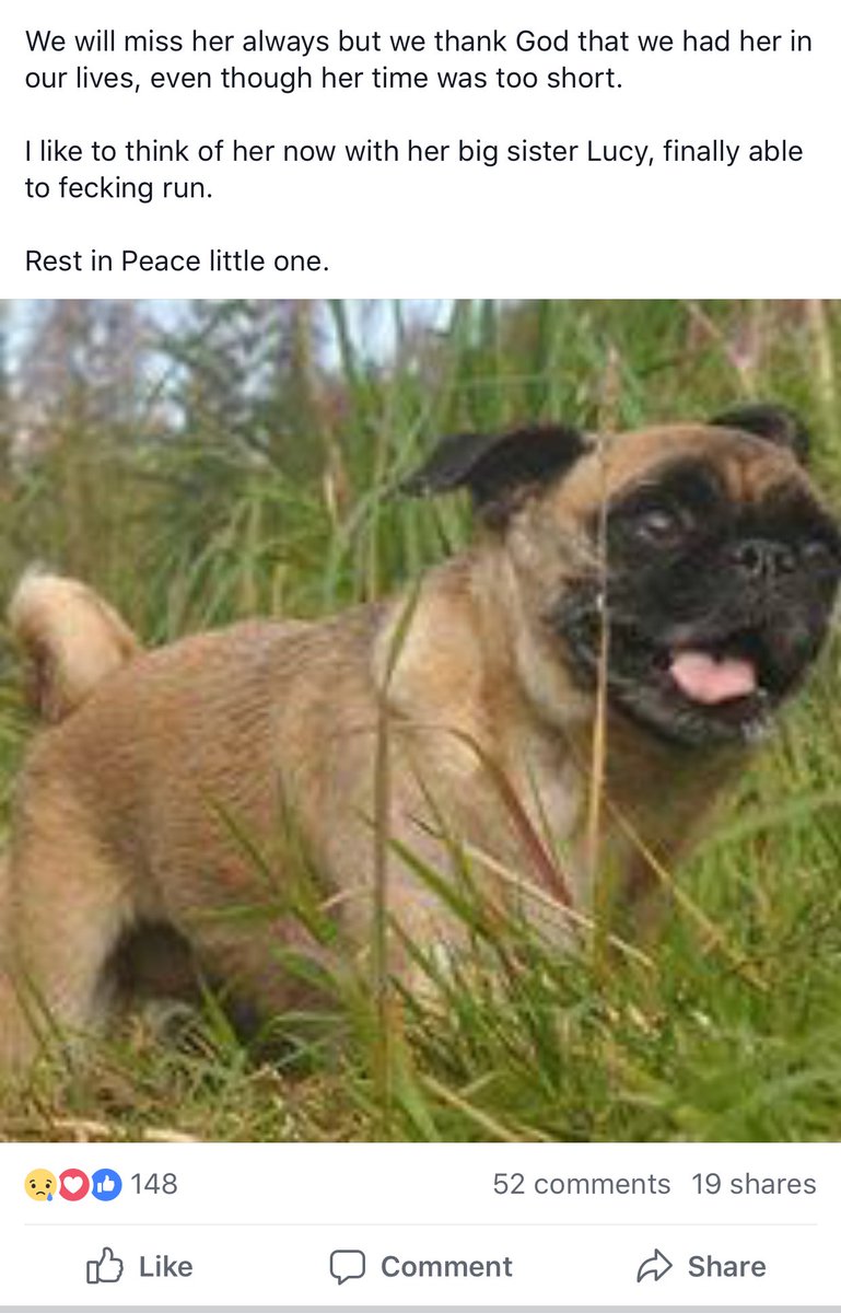 What Did Loca The Pug Die From