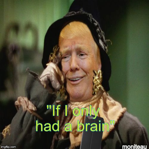 Wizard Of Oz Scarecrow If I Only Had A Brain