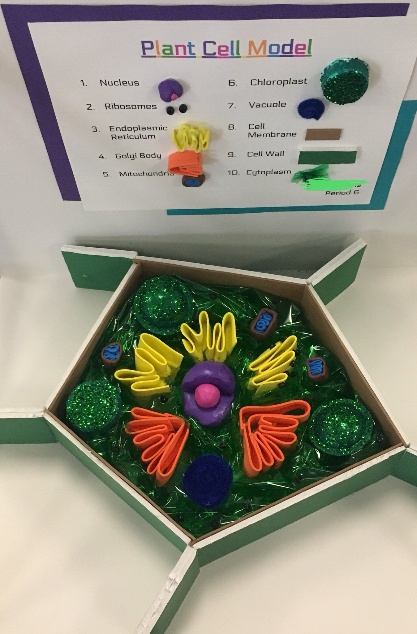 Plant Cell Project Ideas Middle School