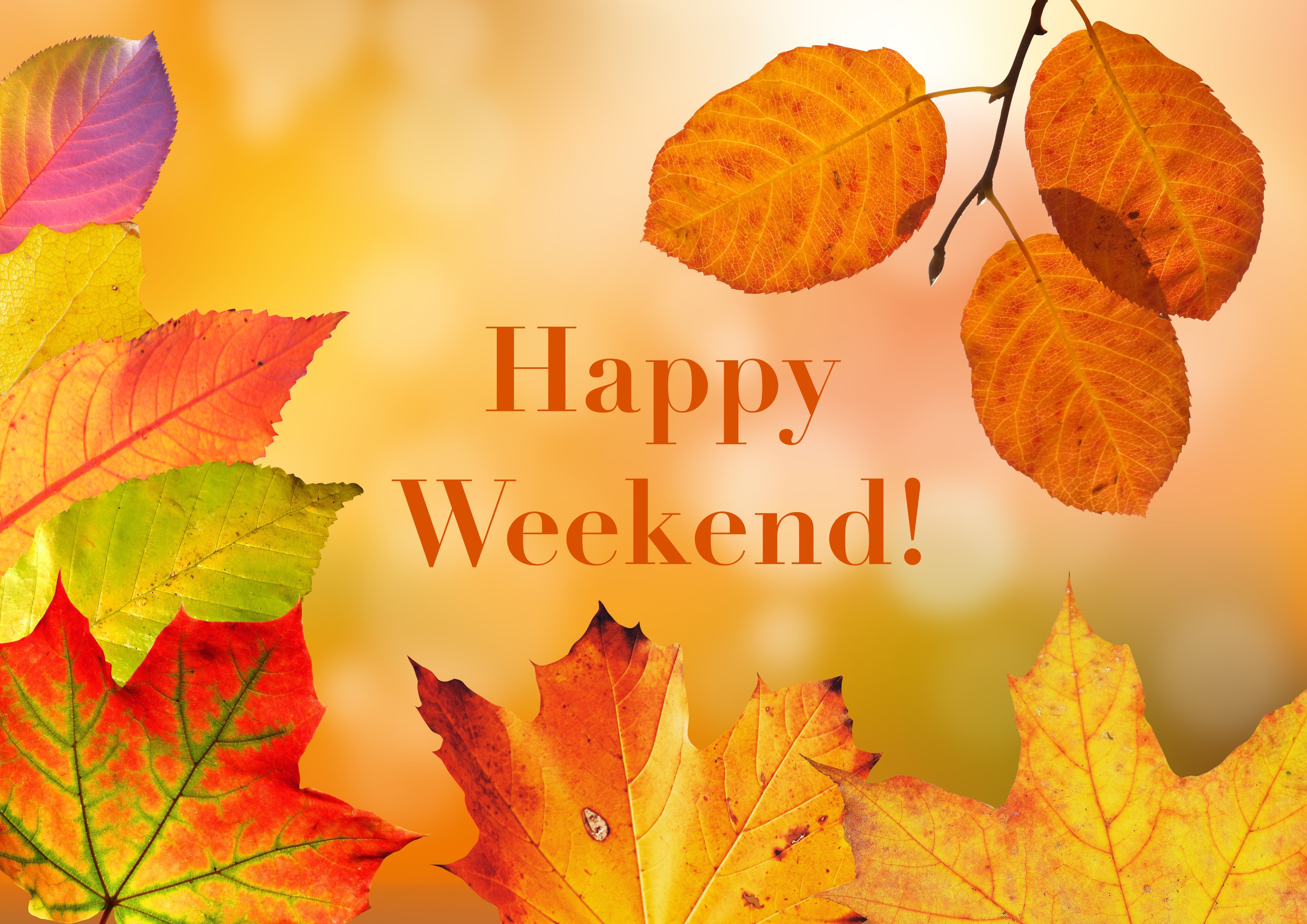 Happy Weekend Fall