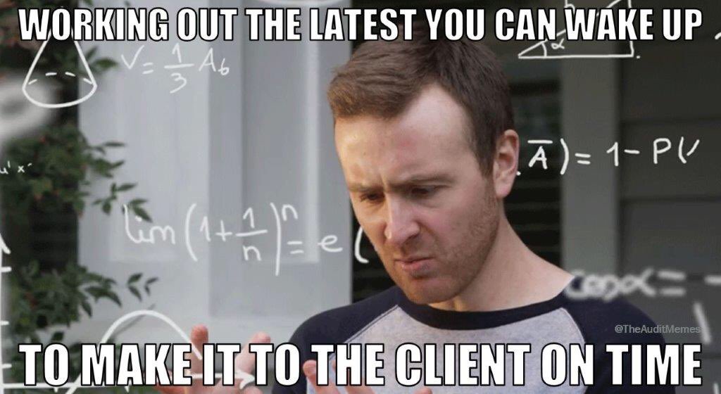 Audit Readiness Meme