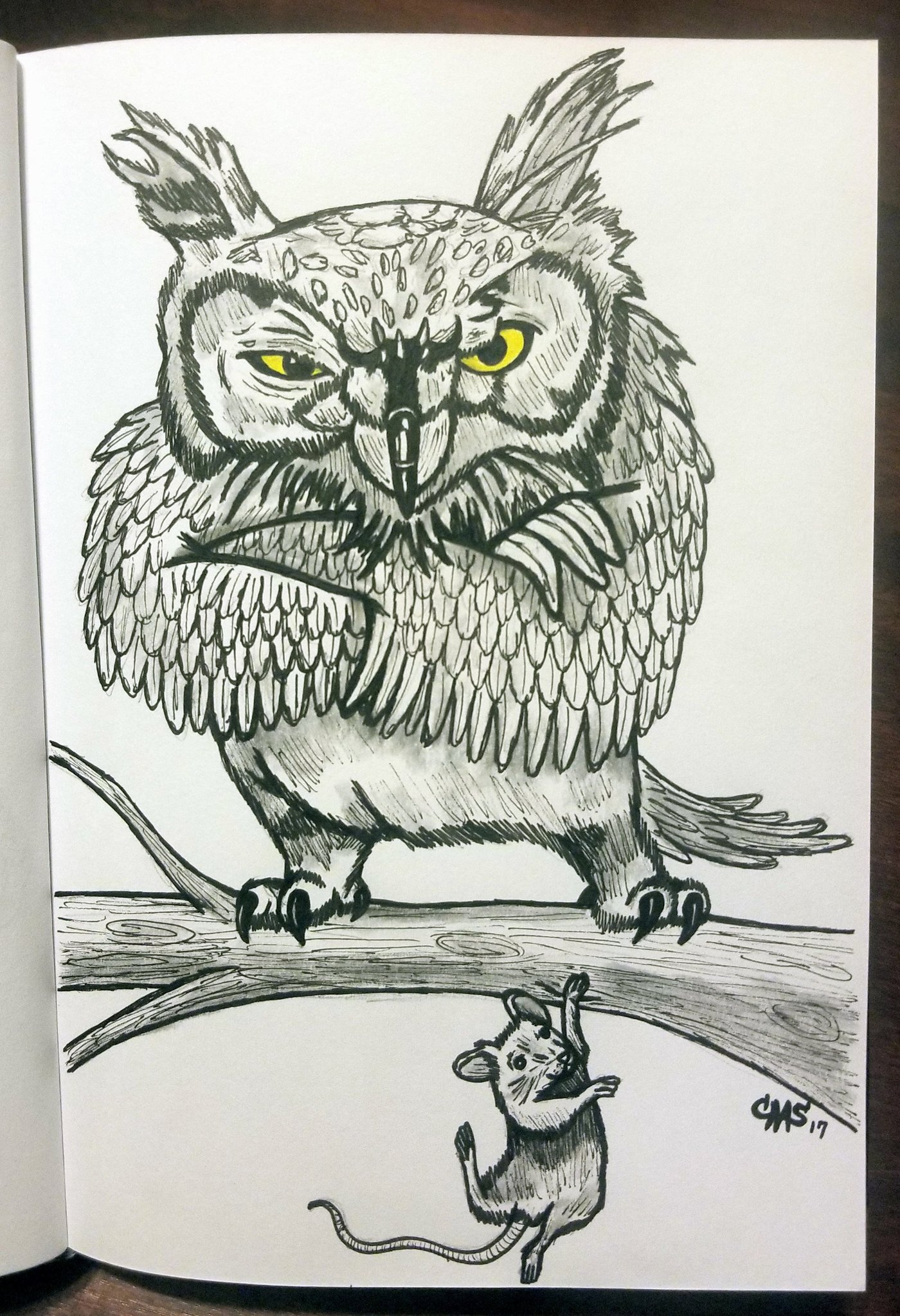 Grumpy Owl Drawing