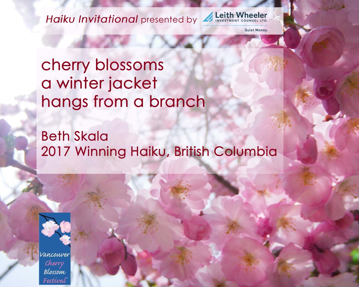 Cherry Blossom Haiku Poem Example (Teacher-Made) Twinkl, 53% OFF