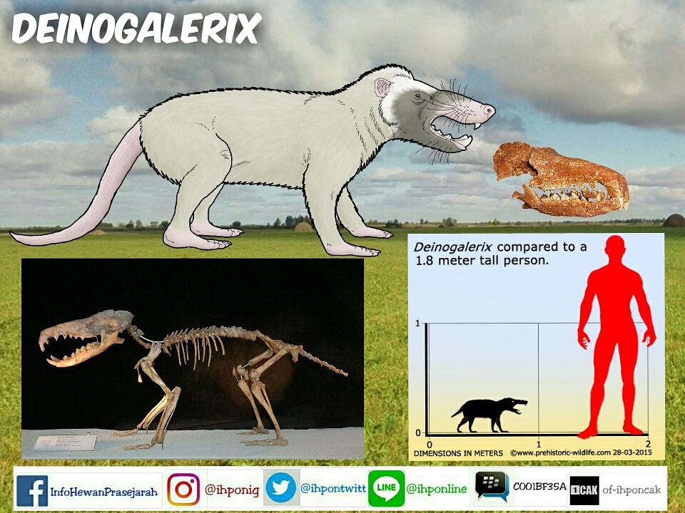 Prehistoric animals - The ZT2 Round Table