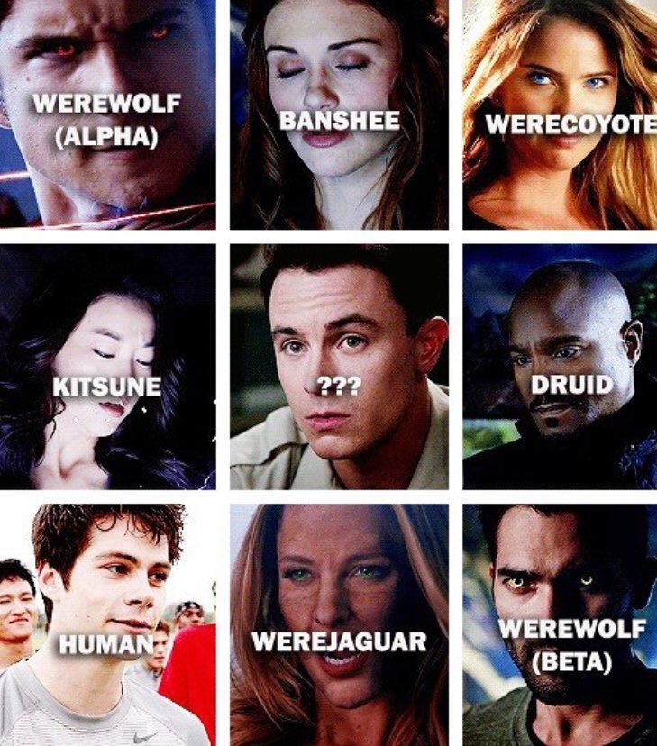 Werecoyote Vs Werewolf